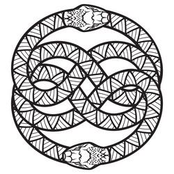 Snakes Intertwined Vector Images (over 240)