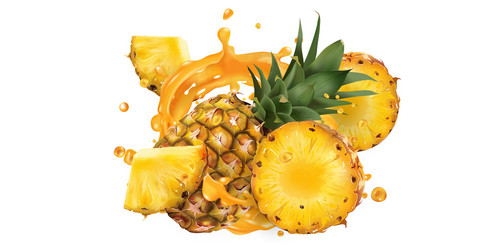 Pineapple Splash Vector Images (over 1,000)
