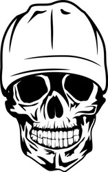 Skull in baseball cap Royalty Free Vector Image