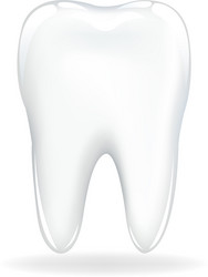 Tooth Vector Images (over 130,000)