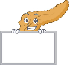 Pancreas Royalty Free Vector Image - VectorStock