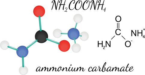 Ammonium nitrate n2h4o3 molecule Royalty Free Vector Image