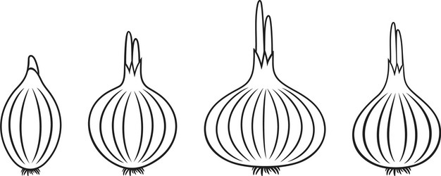 Onion flat design icon Royalty Free Vector Image