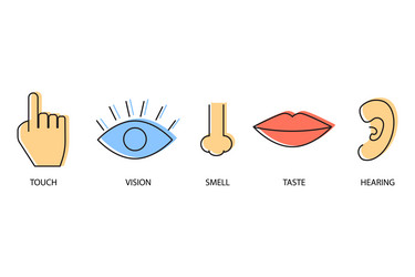 Modern sense organs set cartoon icon Royalty Free Vector