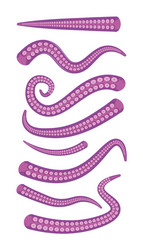 Feeler Octopus Cartoon Vector Images (over 160)