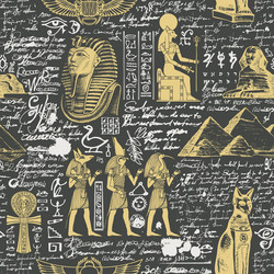 Seamless background on ancient egypt theme Vector Image