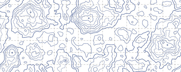 Topography white map seamless pattern with blue Vector Image