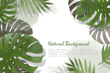 Creative nature background or banner design eps10 Vector Image