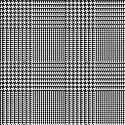 Black and white houndstooth seamless pattern Vector Image
