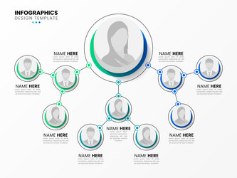 Infographic design template organization chart Vector Image