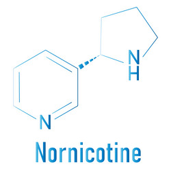 Nornicotine alkaloid molecule skeletal formula Vector Image