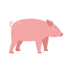 Pig Tail Vector Images (over 2,700)