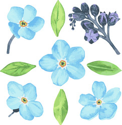 Forget Me not Sketch Vector Images (over 360)