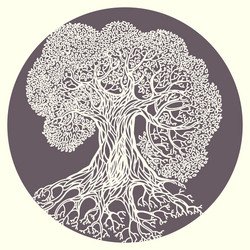 Old oak tree root system drawn Royalty Free Vector Image