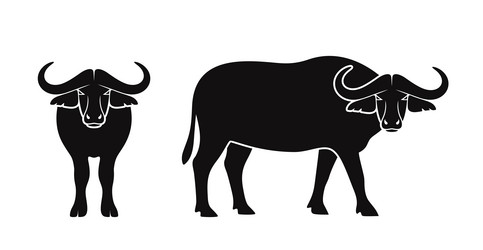Buffalo Royalty Free Vector Image - VectorStock