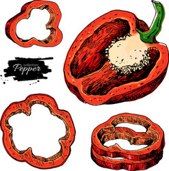 Capsicum Outline Vector Images (over 1,000)