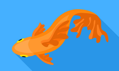 Koi Fish Top View Vector Images (over 150)