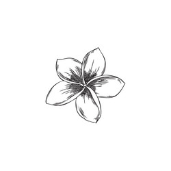 Coconut Black and White Vector Images (over 5,400)
