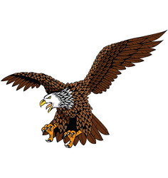 Eagle Decal Vector Images (over 150)
