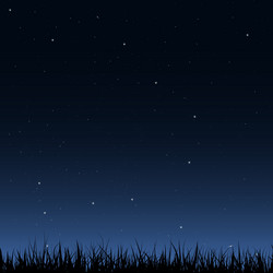 Grass At Night