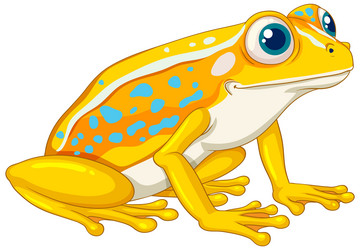 Orange frog cartoon Royalty Free Vector Image - VectorStock