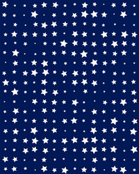 White stars on navy background seamless pattern Vector Image