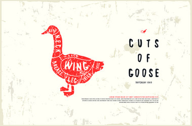 Diagram showing food chain Royalty Free Vector Image