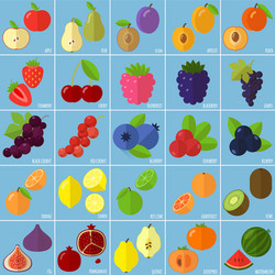 Fresh Fruit Icon Set Royalty Free Vector Image