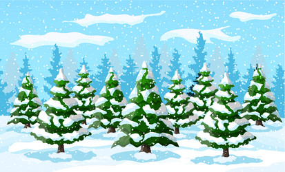 Winter landscape with white pine trees on snow Vector Image