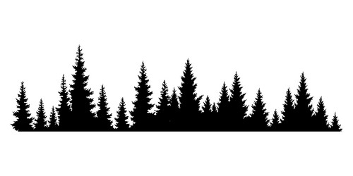 Fir trees silhouette coniferous spruce horizontal Vector Image