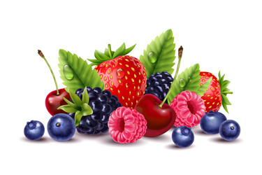 Berry mix composition Royalty Free Vector Image