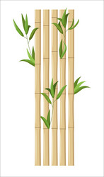 Bamboo Vector Images (over 39,000)