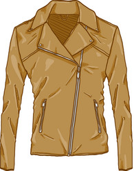 Cartoon women jacket on white background Vector Image