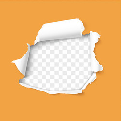 Hole in sheet paper isolated on transparent Vector Image