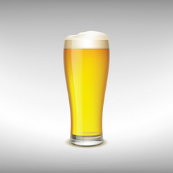 Realistic beer glasses set lager dark ale Vector Image