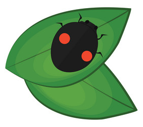 Bug on Leaf Vector Images (over 5,800)