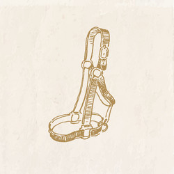 Hand drawn horse bridle Royalty Free Vector Image