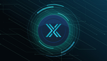 Immutable x imx coin icon Royalty Free Vector Image