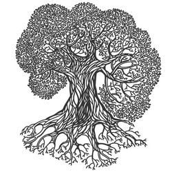 Old oak tree root system drawn Royalty Free Vector Image