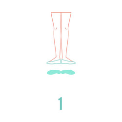 Ballerina feet in pointe shoes standing fifth Vector Image