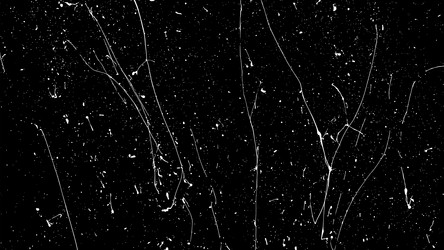 Snow Splatter Vector Images (over 5,500)