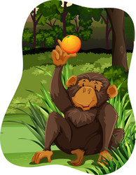 Monkey Scratch Vector Images (over 180)
