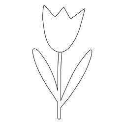 Simple tulip flower spring design element doodle Vector Image