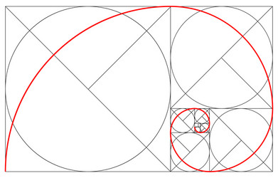 Fibonacci spiral golden ratio Royalty Free Vector Image