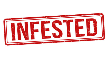 Public Invasion Vector Images (66)