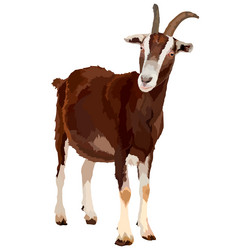 Realistic ram side view isolated farm animals Vector Image