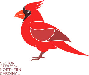 Cardinal Vector Images (over 4,400)
