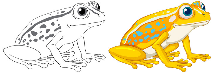 Orange Frog Clipart For Kids