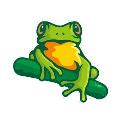 Tree frog Royalty Free Vector Image - VectorStock