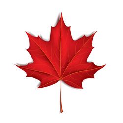 Maple Leaf Vector Images (over 84,000)